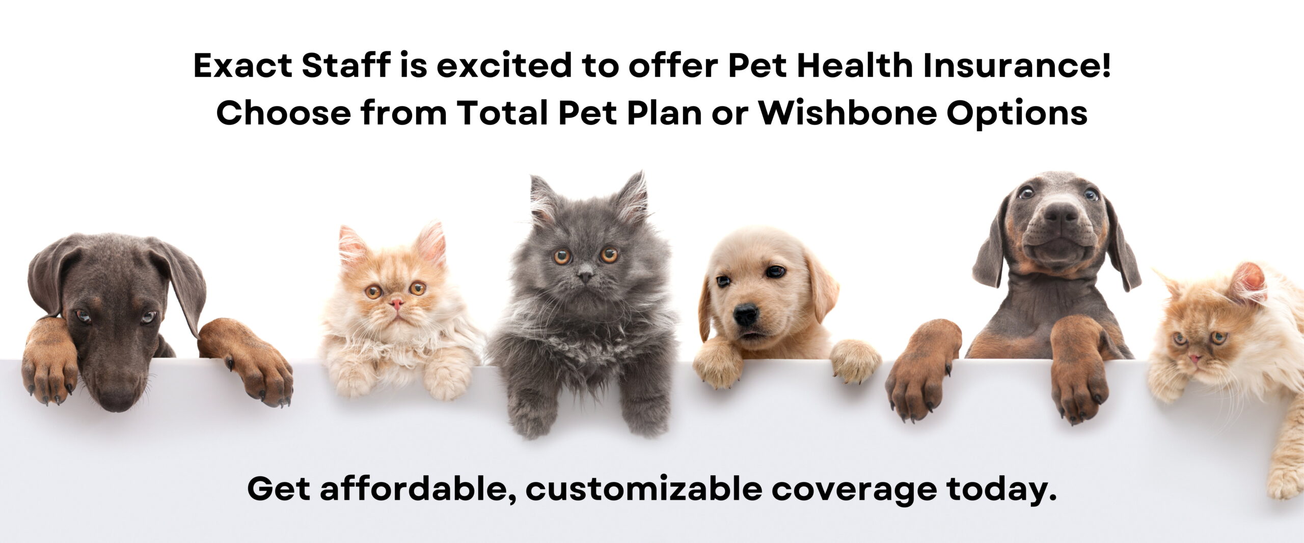Pet Insurance Enrollment • Exact Staff, Inc.